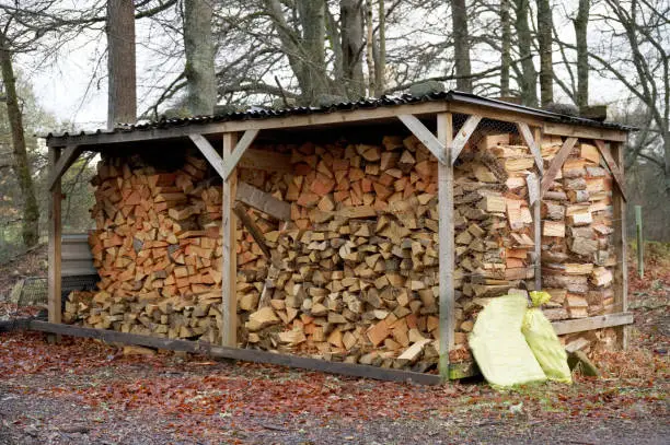 Best Tips On How Long Can You Store Firewood - Tree To Timber